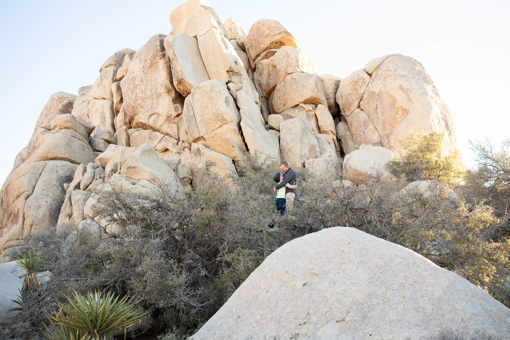 Joshua Tree Family Photos