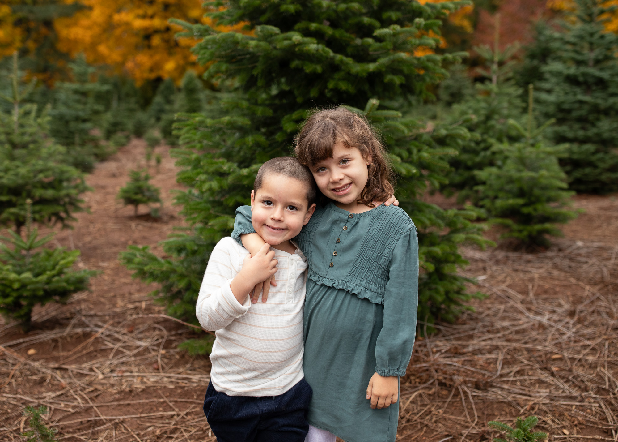 The Ultimate Guide on How to Prepare for a Mini Session