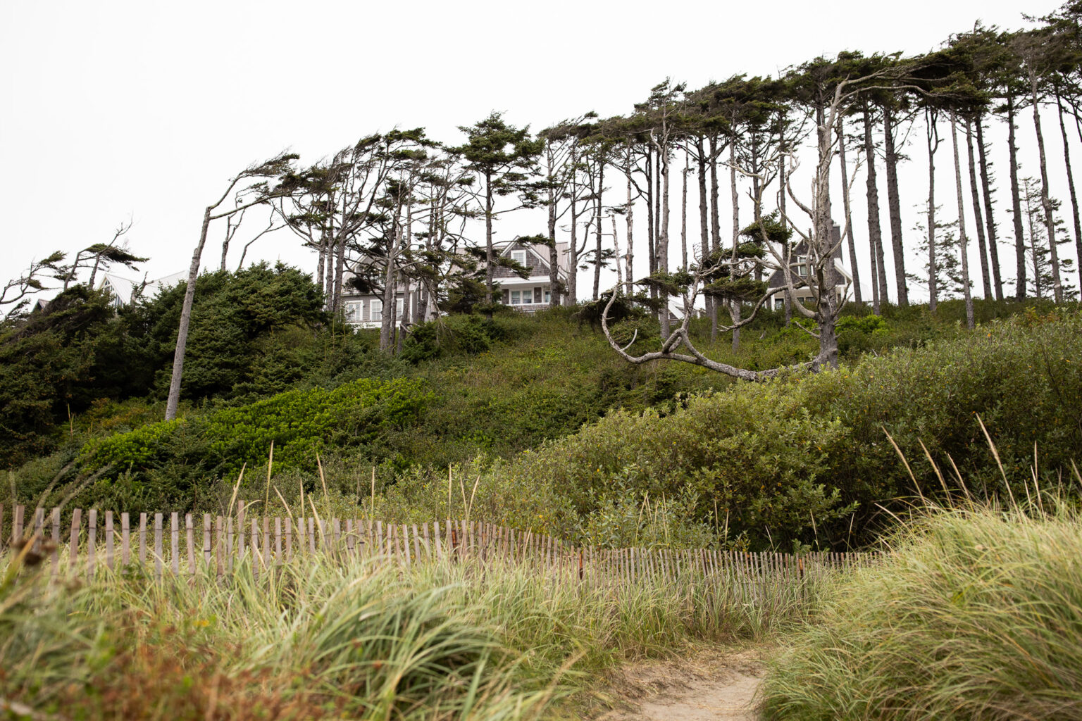 The Ultimate Guide to Things to Do in Seabrook, WA